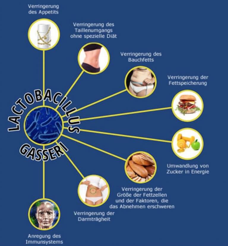 Bacto Slim - Abnehmen durch Probiotika? - Alle Infos dazu hier